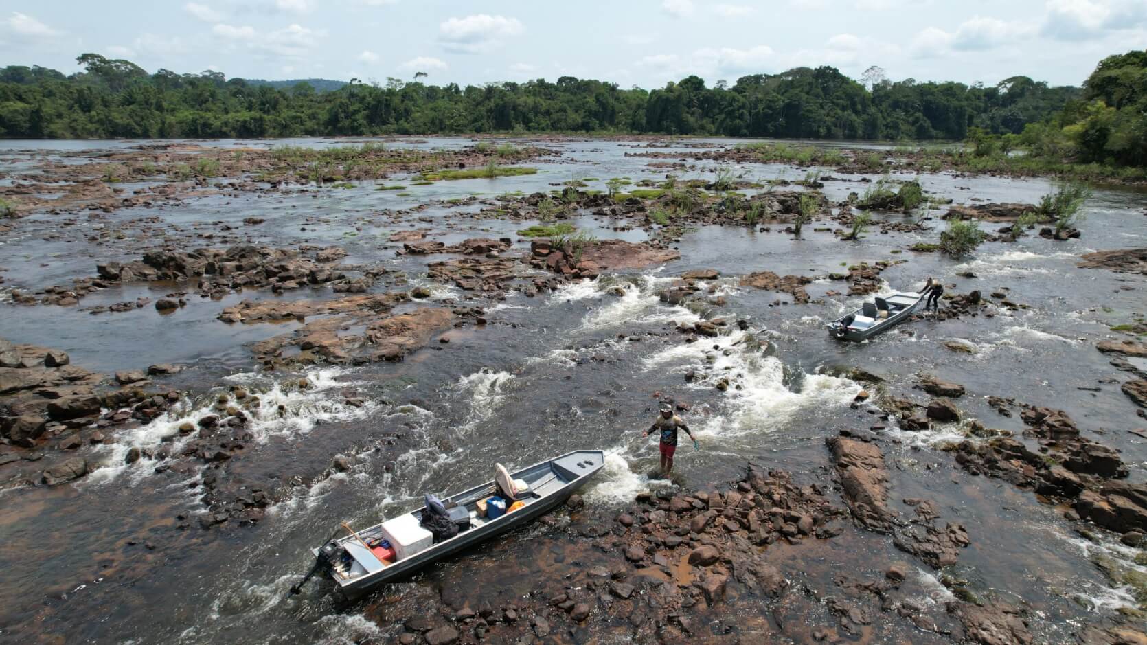 The Best of The Wild Fly Fishing the Best of Brazil - The Best of The Wild