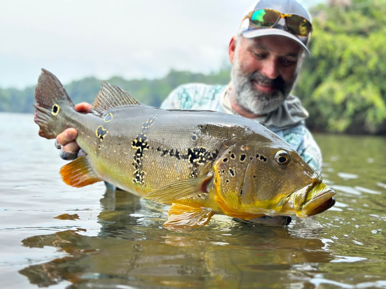 The Best of The Wild Fly Fishing the Best of Brazil - The Best of The Wild